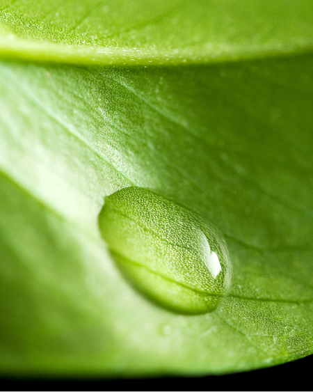 Coventya - Portfolio - Branding et événementiel | L&B SYNERGIE